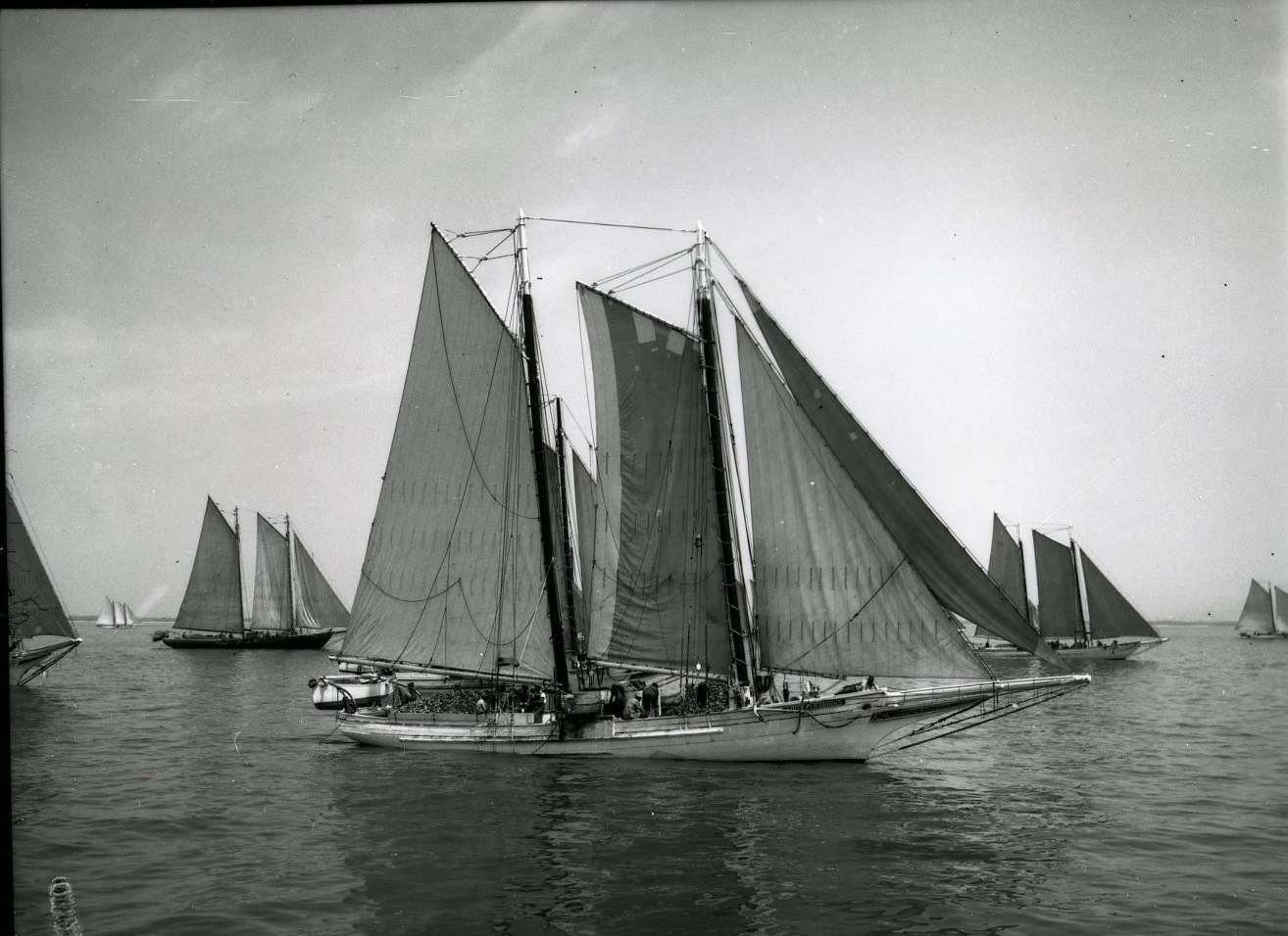 Delaware Bay - Encyclopedia of Greater Philadelphia